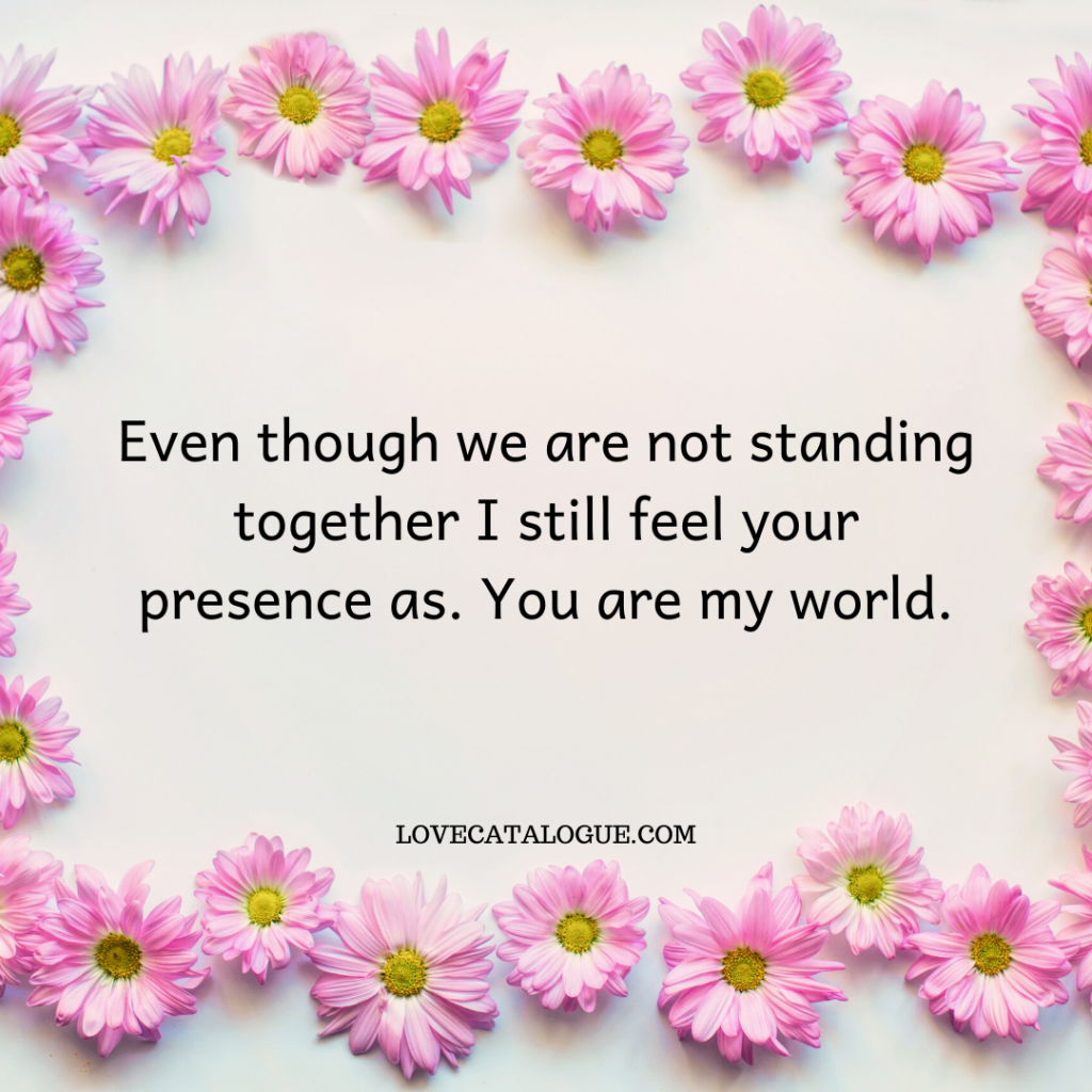 365 Heartfelt Love Messages - Love Catalogue